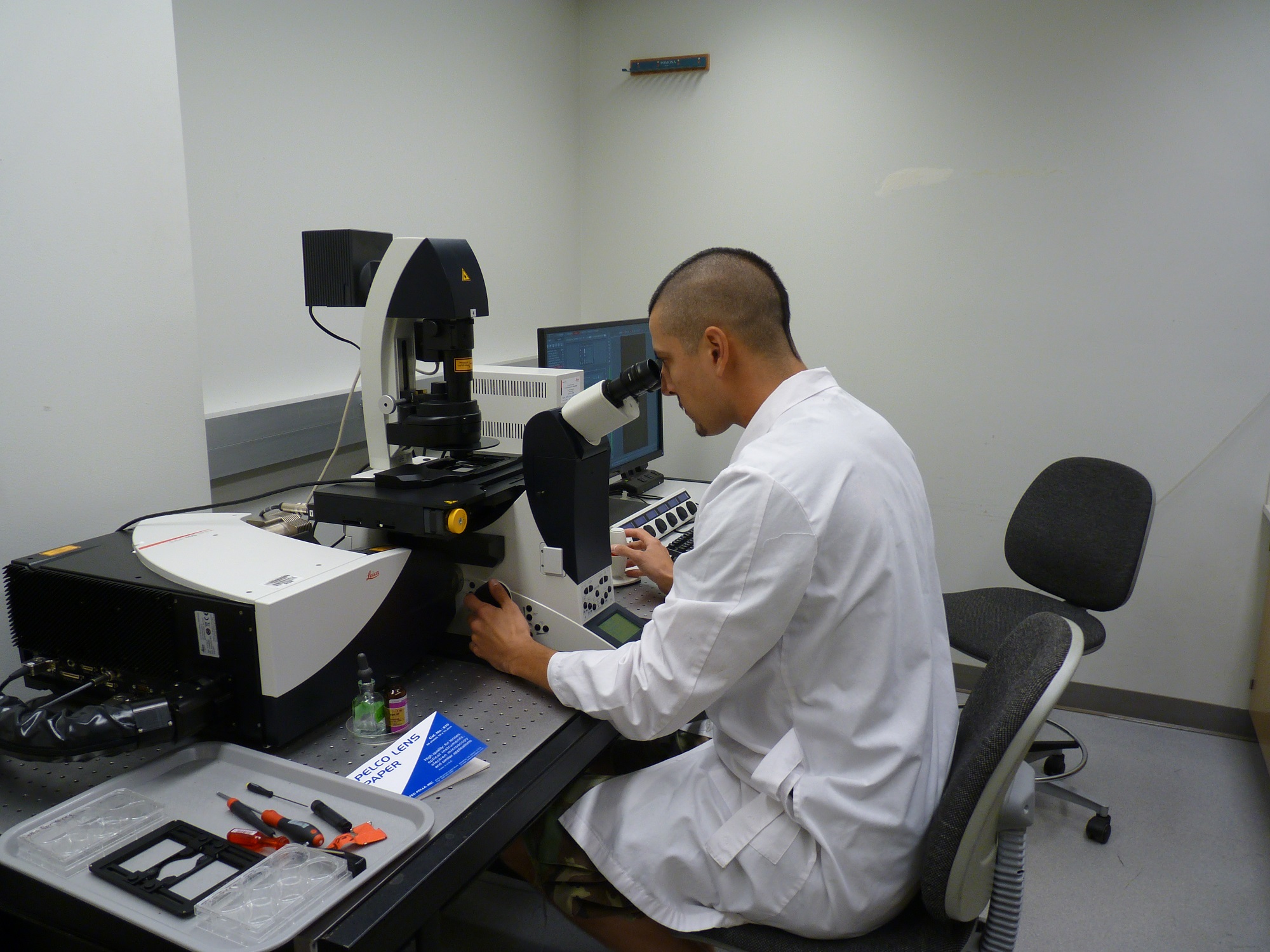 About the MCB Program – Molecular & Cellular Biology Graduate Program