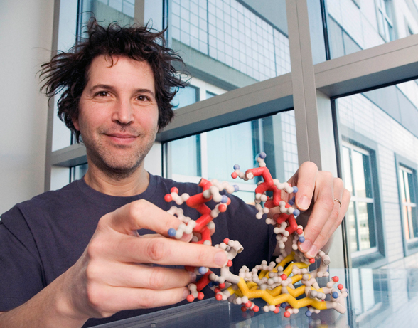 Biophysical and Structural Biology – Molecular & Cellular Biology ...